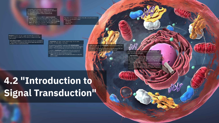 AP_BIO 4.2 "Introduction to Signal Transduction" by Yonis Maher on Prezi