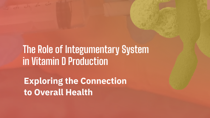 The Role of Integumentary System in Vitamin D Production by Andrea Ives ...