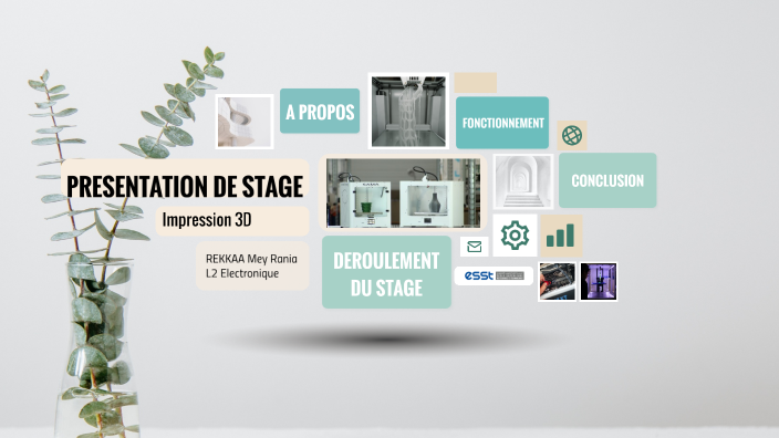 Présentation de stage by Mey R on Prezi