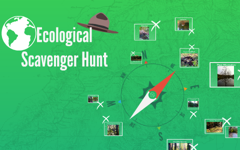 Ecological Scavenger Hunt by Heather Stevenson on Prezi