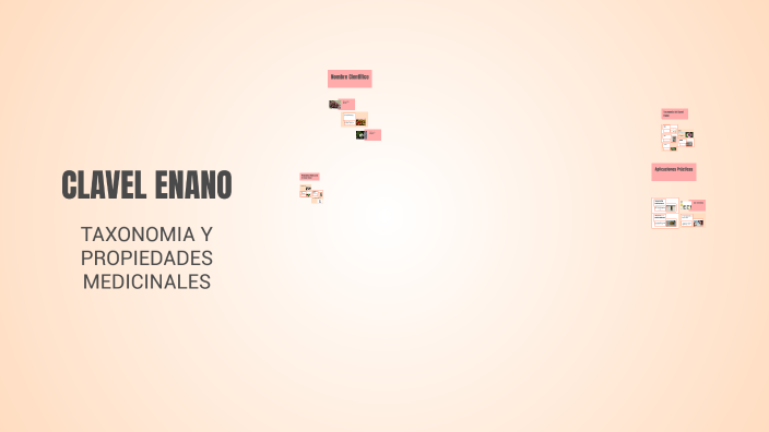 CLAVEL ENANO by Aeymee Quinto on Prezi