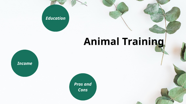Animal Training Career by Agnes Brummer Torres on Prezi