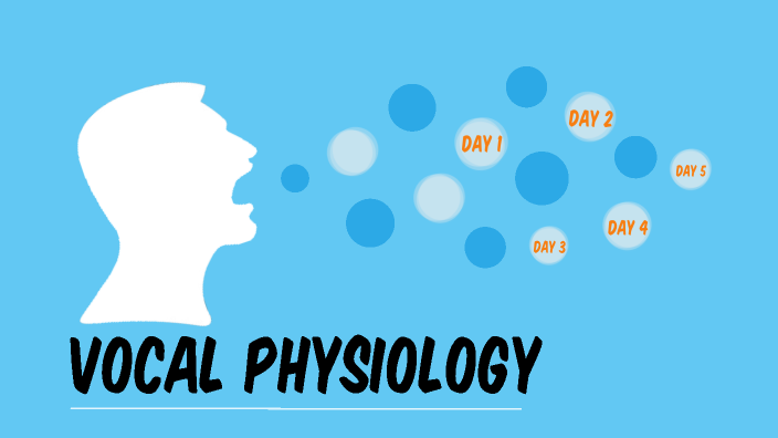 Basic Vocal Physiology By Brett Taylor On Prezi