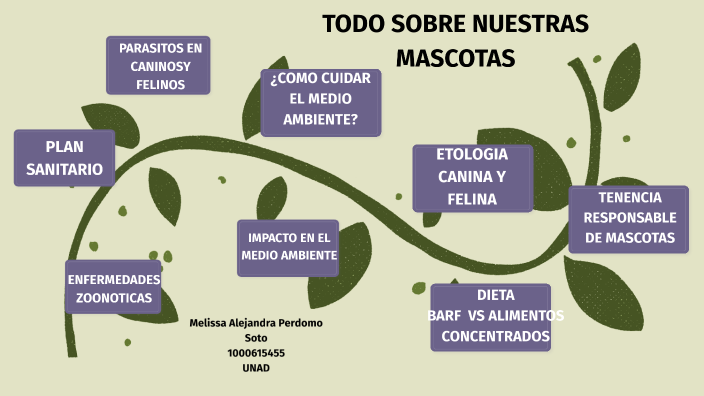 Caninos y Felinos by Melissa Perdomo on Prezi