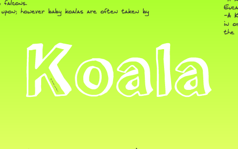 Koala Niche by Kaci Miller on Prezi