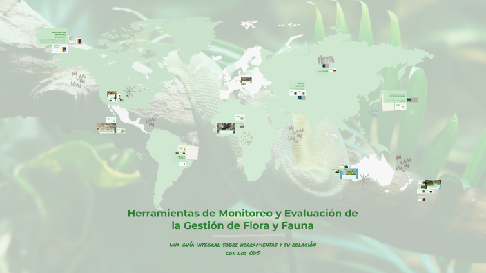 Herramientas de monitoreo y evaluación de la gestión de flora y fauna by Luz Milagros Uribe ...