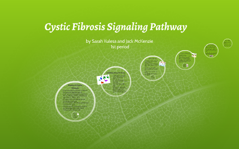 Cystic Fibrosis Signaling Pathway by Jack McKenzie on Prezi