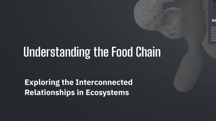 Understanding the Food Chain by JOMAR GRAGASIN on Prezi