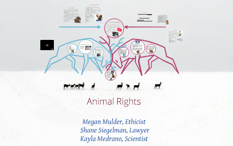 Animal Rights by Kayla Medrano on Prezi