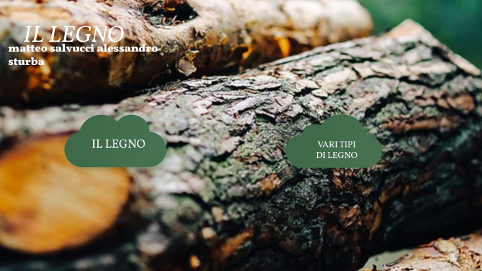 IL LEGNO by Matteo Salvucci on Prezi