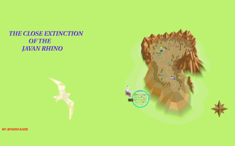 Javan rhino by Angel Marvel on Prezi