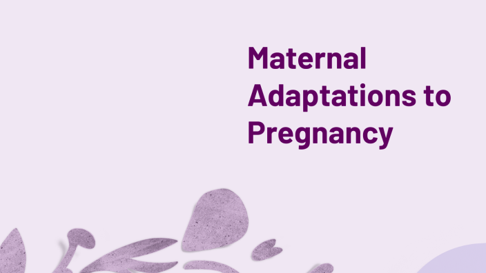 Maternal Adaptations to Pregnancy by Madison O'Brien on Prezi