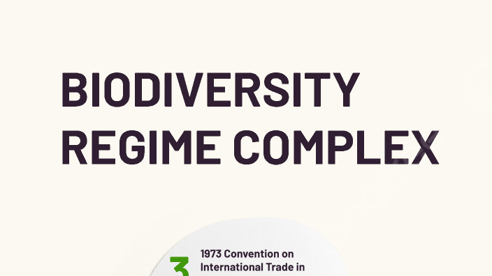 Biodiversity regime complex by Anna Rodríguez Rafel on Prezi