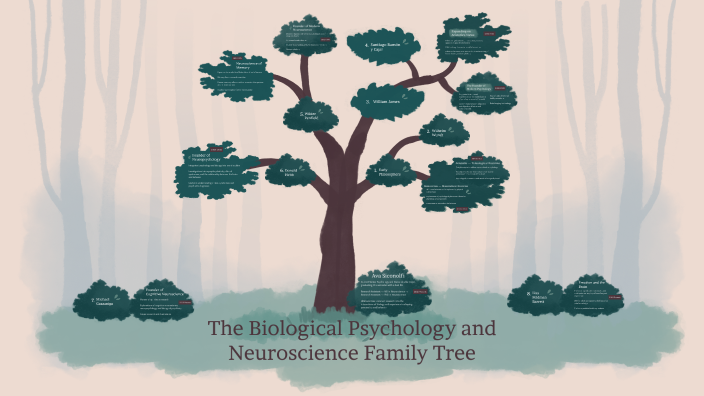 The Biological Psychology and Neuroscience Family Tree by Ava Siconolfi ...