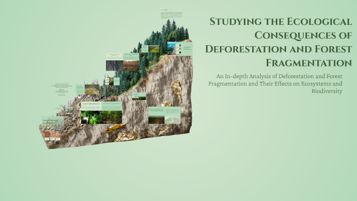 Studying the Ecological Consequences of Deforestation and Forest ...