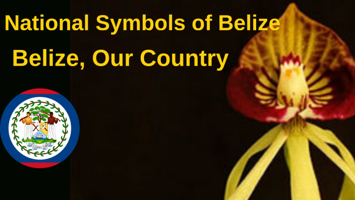 National Symbols of Belize by Analisa celiz on Prezi