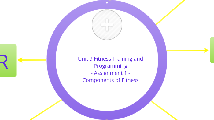 Unit 9- Fitness Training and Programming Assignment 1 by Laura ...