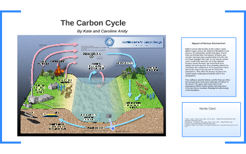 CO2+H2O+energy --> C6H12O6 by Kate Andy on Prezi