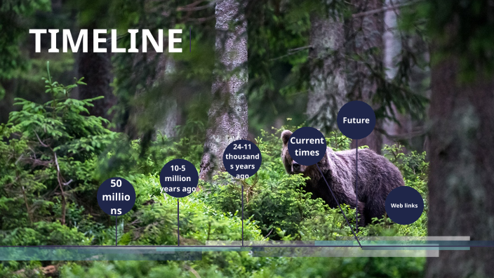 Evolution by Eli Setty on Prezi