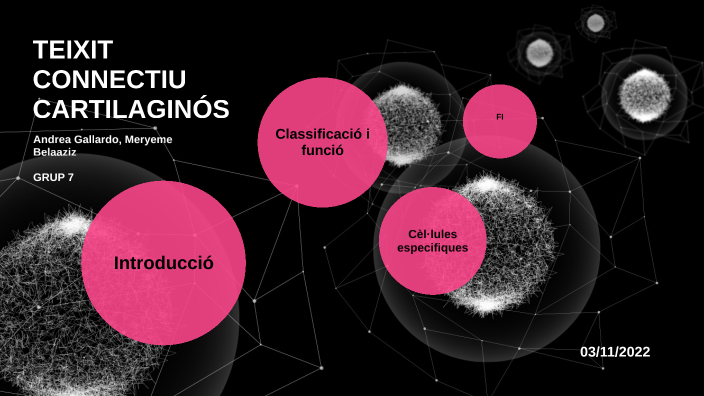 TEIXIT CONNECTIU CARTILAGINÓS by maia bella on Prezi