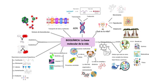 Mapa mental bioquimica by Anamaria mejia on Prezi Design