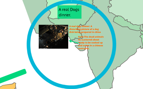 what is animal cruelty by shauna halpin on Prezi