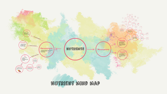 Nutrient mindmap by Clare Palmer on Prezi