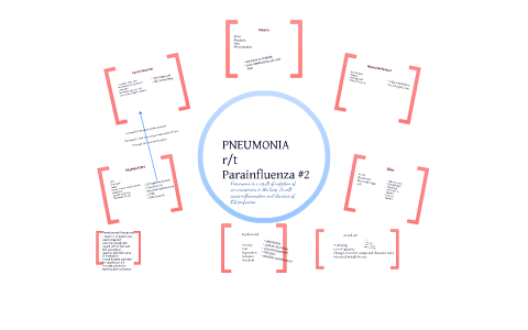 Patho Tree- Pneumonia by bronte dohm on Prezi