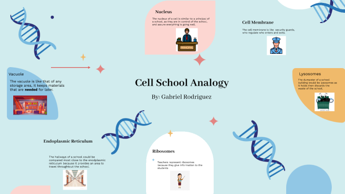 Cell School Analogy by Gabriel Rodriguez on Prezi