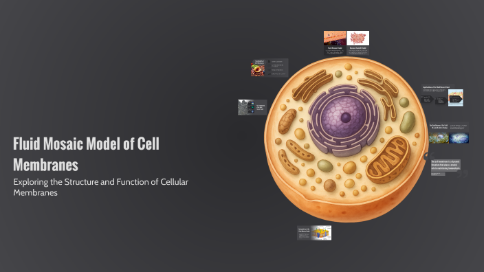 Fluid Mosaic Model of Cell Membranes by arli on Prezi