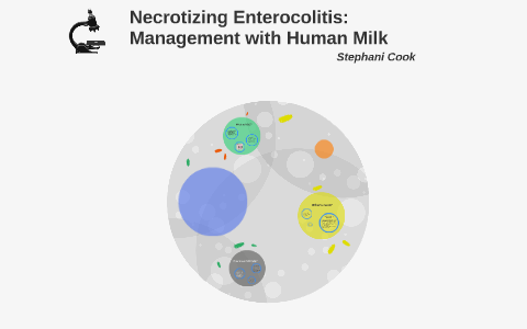 Necrotizing Enterocolitis by Stephani Cook on Prezi