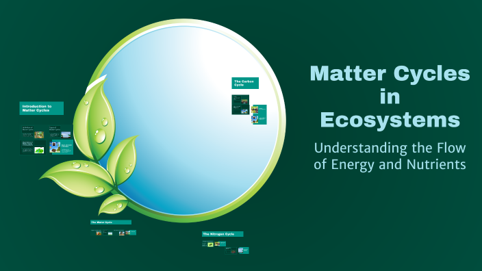 Matter Cycles in Ecosystems by ASAF ELİDEMİR on Prezi