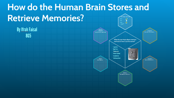 How do the human brain stores and retrieve memories? by Ifrah Faisal on ...
