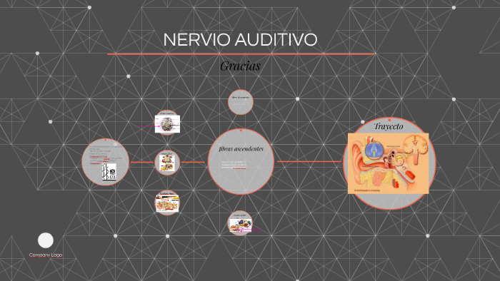 NERVIO AUDITIVO by Iván Rivera on Prezi
