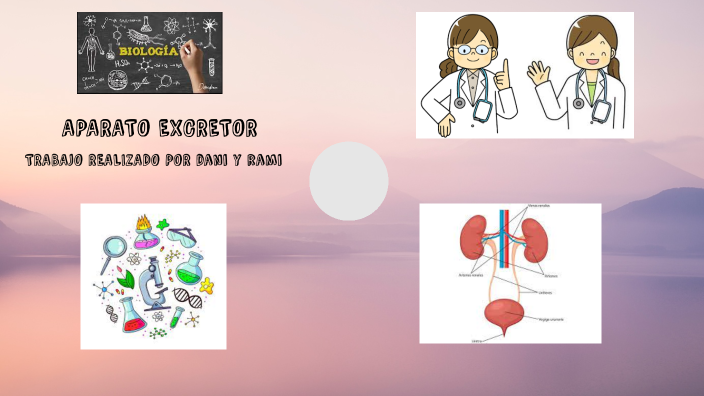 sistema excretor rami dani by rami delcueto on Prezi