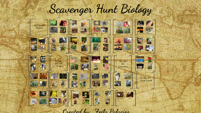 Scavenger Hunt Biology by Zeila Palacios on Prezi