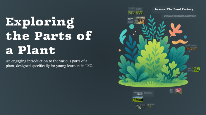 Exploring the Parts of a Plant by Susan Neupane on Prezi