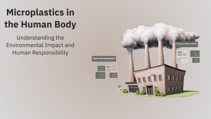 Microplastics in the Human Body by AS - 09BJ 812784 Mayfield SS on Prezi
