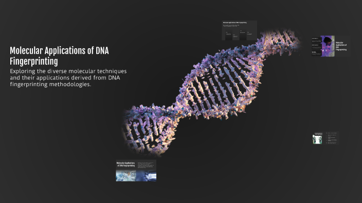 Molecular Applications of DNA Fingerprinting by حسوني علي on Prezi