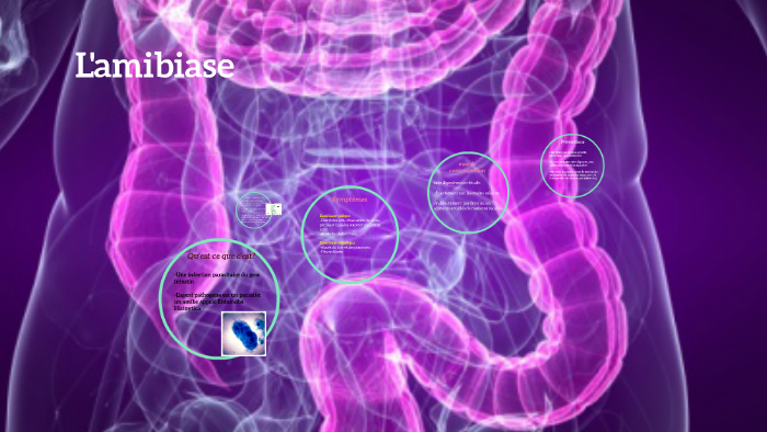 L'amibiase by Shili Nadeen on Prezi