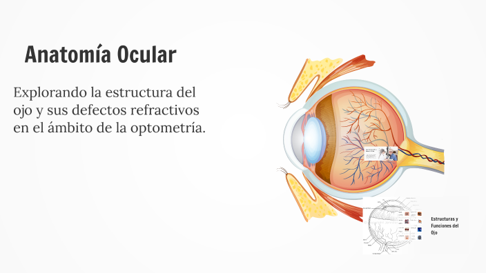 Anatomía Ocular y Defectos Refractivos by ALI GARCIA SILVVA on Prezi