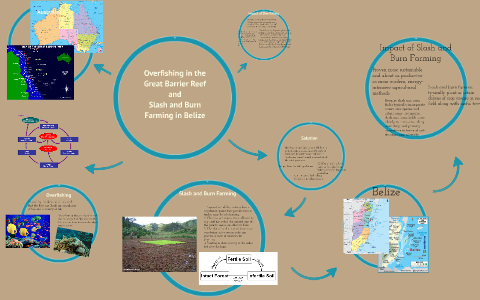 Overfishing in the Great Barrier Reef by Rachel Marcum on Prezi