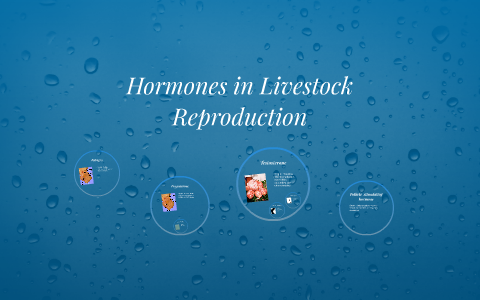 Hormones in Livestock Reproduction by Kyle Dadson on Prezi