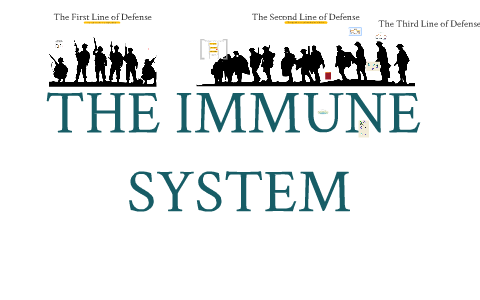 The Immune System Soldiers by Lea Hoffman on Prezi