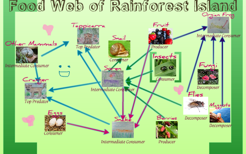 Science Food Webs by Kelsey Carido on Prezi