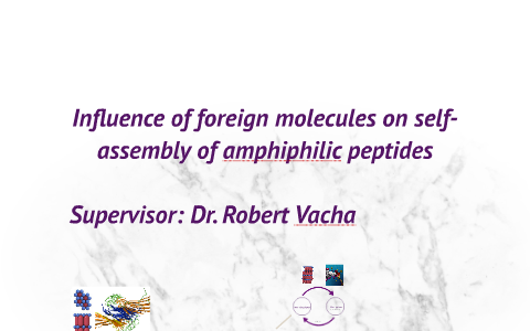 Influence of foreign molecules on self-assembly of amphiphil by R V on ...