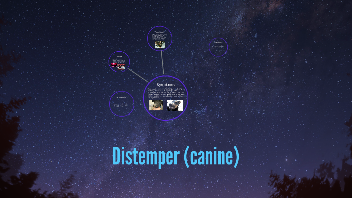 Disorder/Disease by Stephanie Barbieri on Prezi