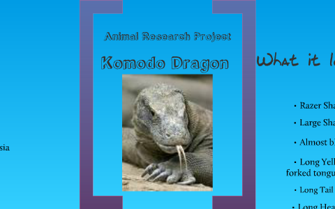 Animal Research Project:Komodo Dragon by KP P. on Prezi