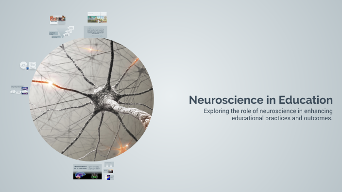 Neuroscience in Education by Bruno Castro on Prezi