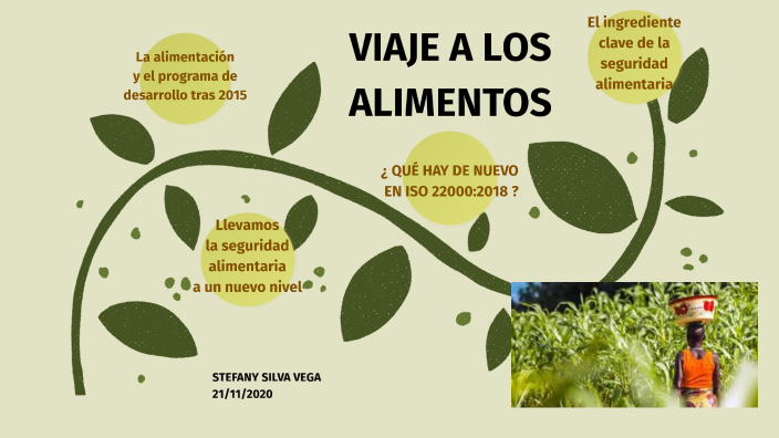 Viaje a los alimentos by Carlos Gabriel Diaz Gomez